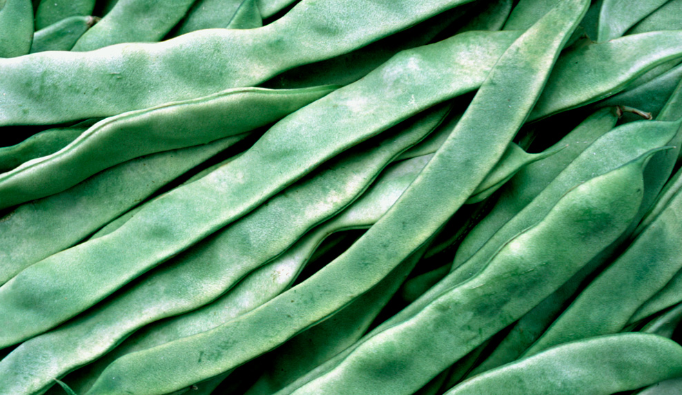 Chauchas, las elegidas cuando llega el calor del verano | Mercado Central