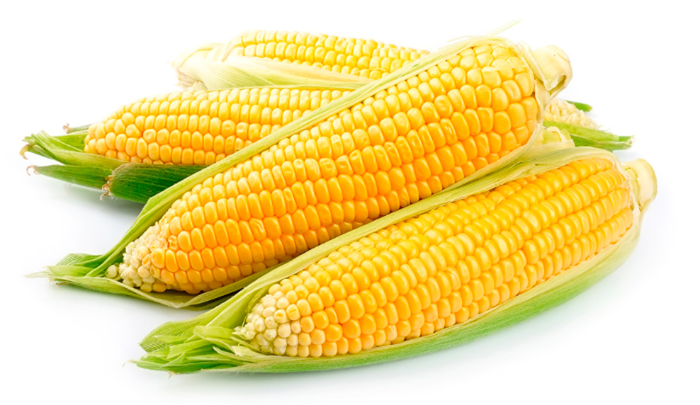 Choclo salteño para todos | Mercado Central